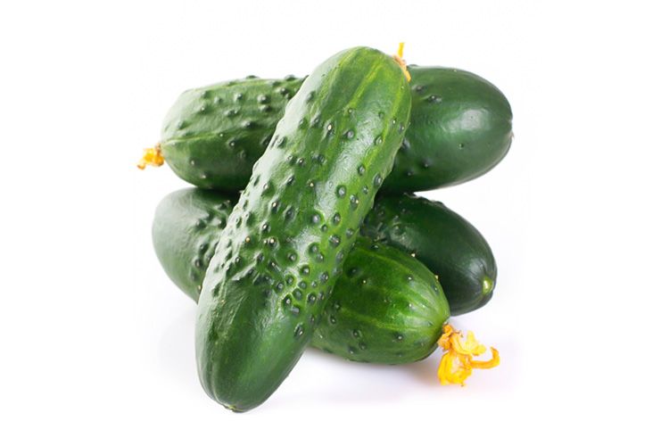 Silor Cucumber - Martı Meyve & Sebze
